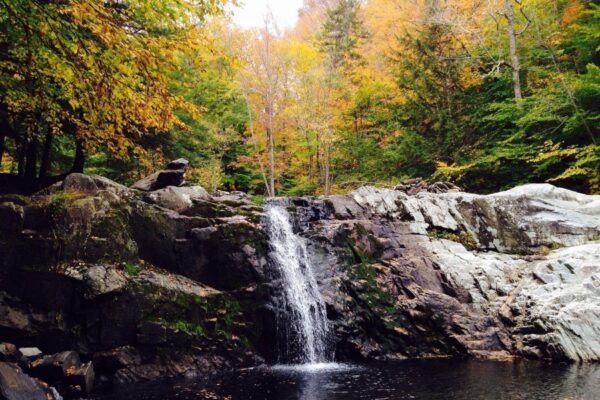 15 Best Places To Find Soapstone In The US