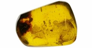 Top 11 Places in the US to Find Amber