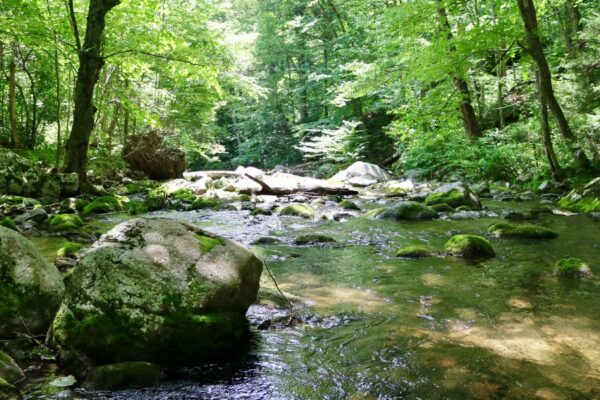 25 Great Places To Find Opal in Virginia in 2025