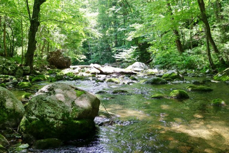 25 Great Places To Find Opal in Virginia in 2025