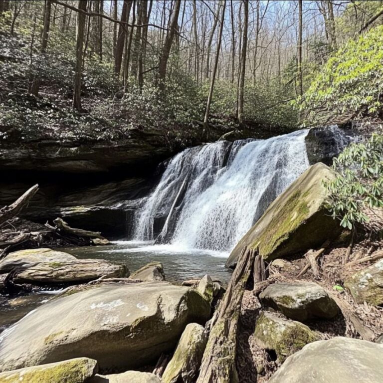 The Great Places To Find Diamonds in Ohio In 2025