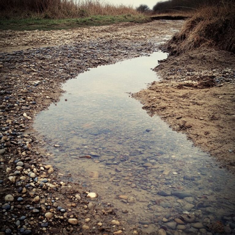 The 29 Legit Places To Find Gold In Minnesota In 2025