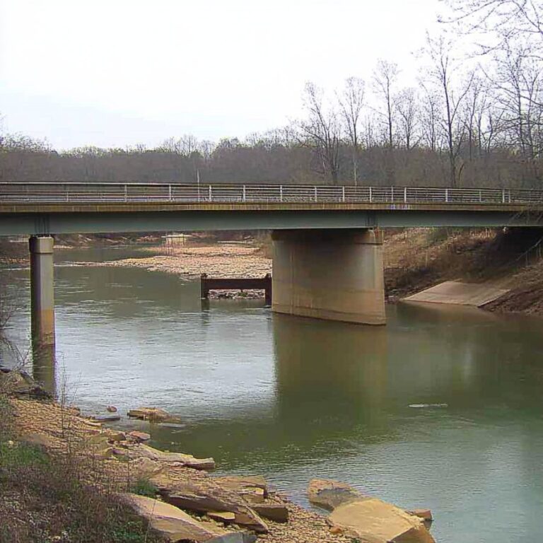 The 37 Best Places To Find Gold in South Carolina in 2025