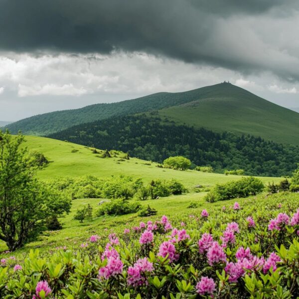 The Best Places To Find Moonstones in Tennessee in 2025
