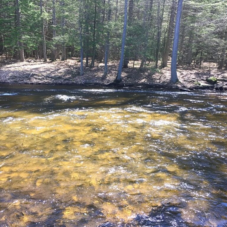 The 10 Best Places To Find Gold In Connecticut In 2024