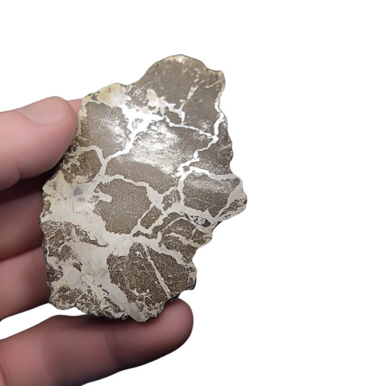 The 14 Top Places To Find Silver In Texas In 2025