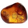 The 28 Trusted Locations To Find Amber In Illinois In 2025