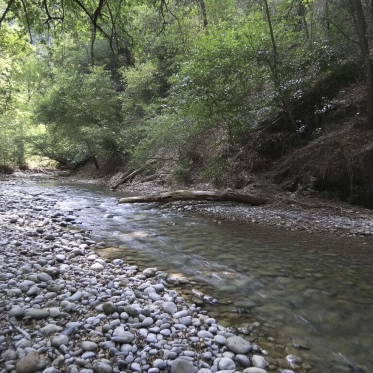 The 31 Hidden Places To Find Peridot In Oregon In 2025