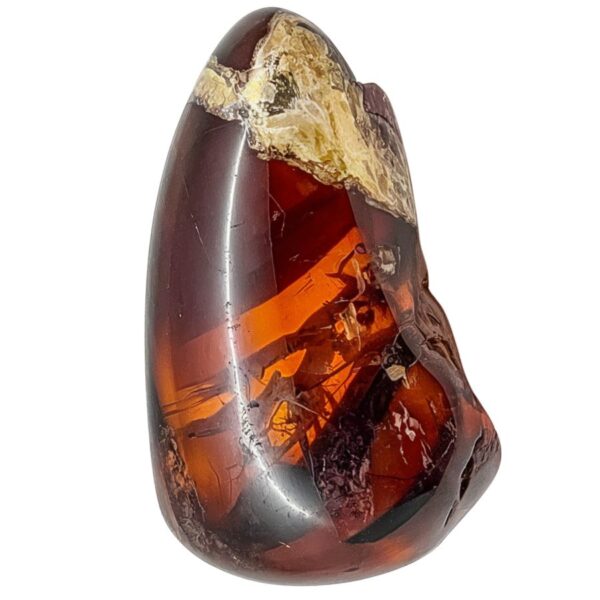 50 Great Spots To Find Amber In Indiana In 2025