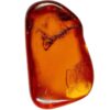 The 28 Trusted Locations To Find Amber In Illinois In 2025