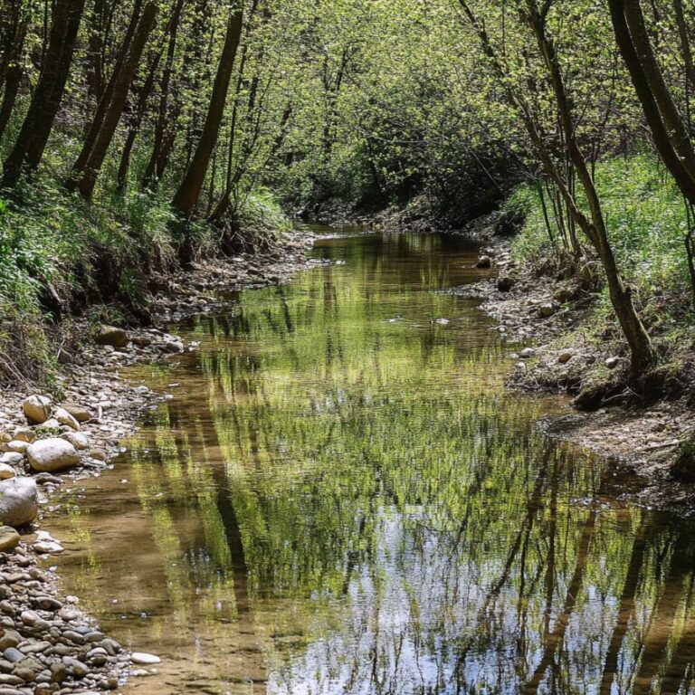 30 Must-Visit Places To Find Sapphire In Arkansas In 2025