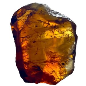 The 28 Trusted Locations To Find Amber In Illinois In 2025