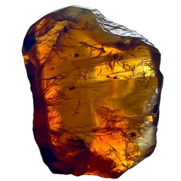 25 Reliable Areas To Find Amber In South Carolina In 2025