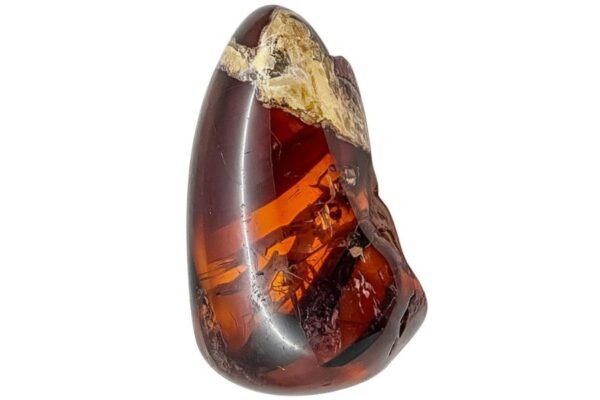 "lizard in amber" - Rock Chasing