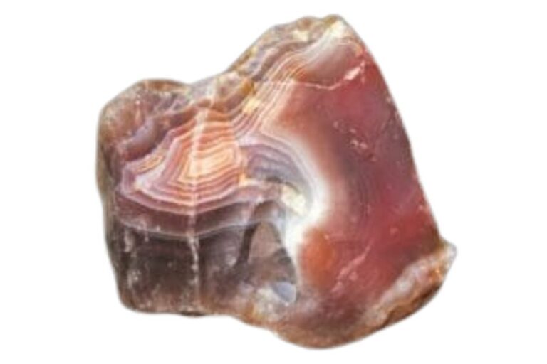 The 16 Most Valuable Rocks & Minerals You Can Find In Florida