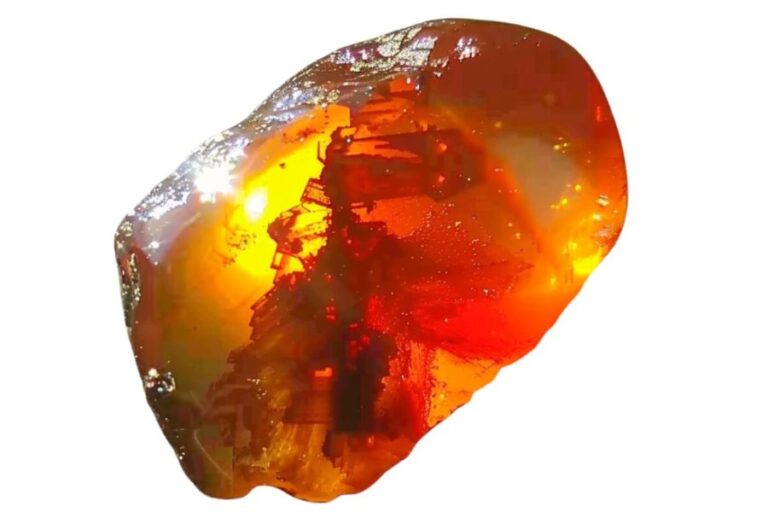 "opal sol resort" - Rock Chasing