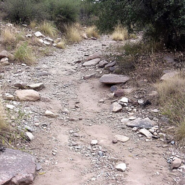 20 Popular Locations To Find Fire Agate In Illinois In 2025