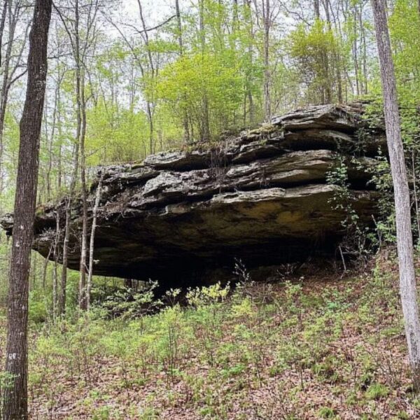 20 Treasures Hidden in Ohio That Will Surprise You