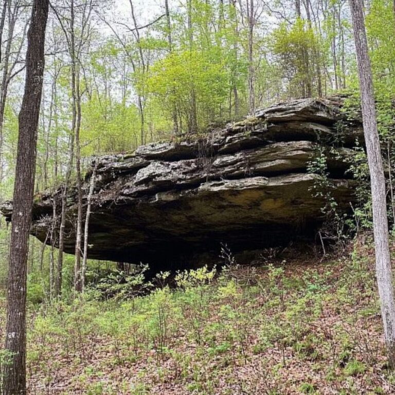 21 Treasures Hidden in North Carolina Waiting for Explorers