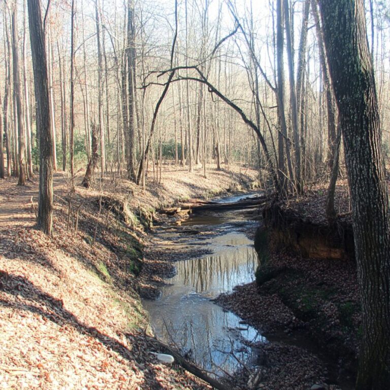 20 Treasures Hidden in Ohio That Will Surprise You
