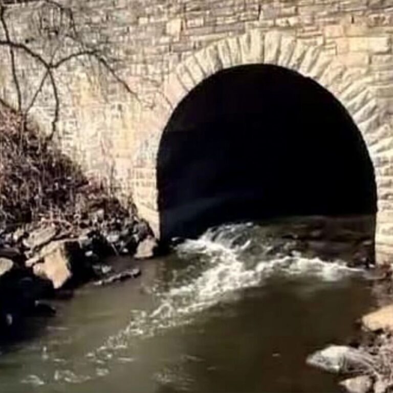 21 Treasures Hidden in North Carolina Waiting for Explorers