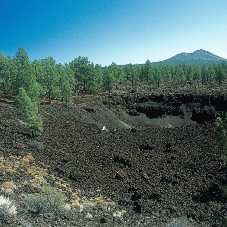 20 Popular Locations To Find Fire Agate In Illinois In 2025