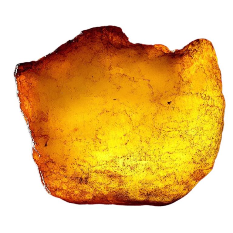 30 Ultimate Locations To Find Carnelian In Florida In 2026