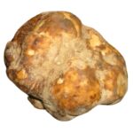 The 47 Most Promising Sites To Find Truffles In Texas In 2025
