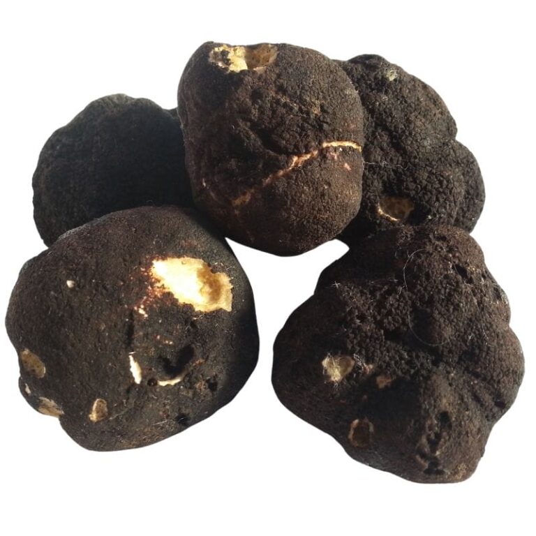 The 47 Most Promising Sites To Find Truffles In Texas In 2025