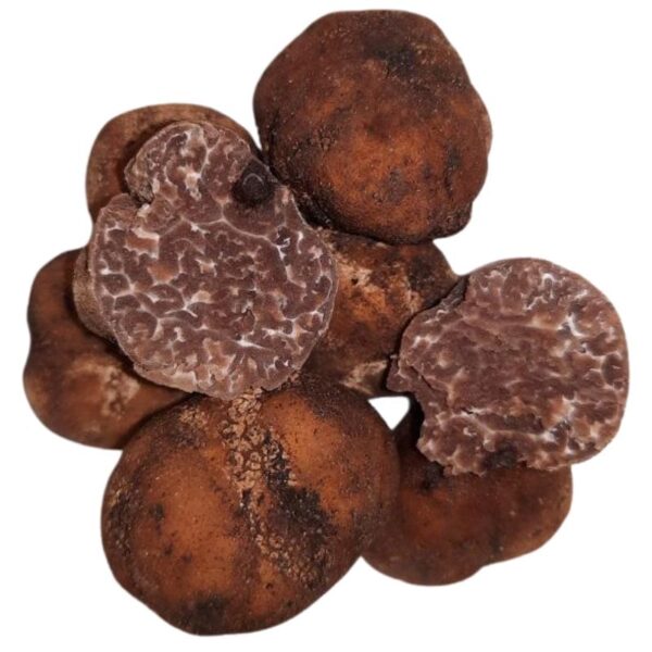 The 47 Most Promising Sites To Find Truffles In Texas In 2025