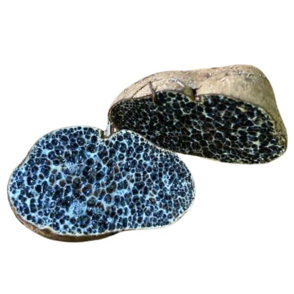 The 47 Most Promising Sites To Find Truffles In Texas In 2025
