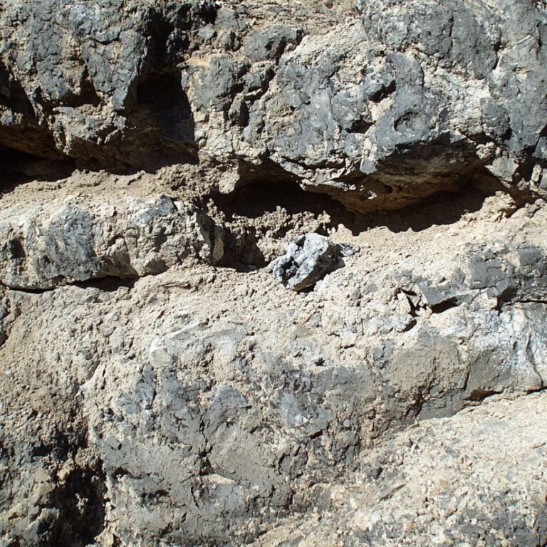 21 Recommeneded Places To Find Platinum In Texas In 2025